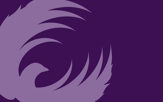 Firebirds coach Bulley to miss Mavericks match - The Home of the ...