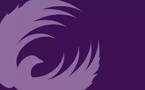 Firebirds media statement - The Home of the Queensland Firebirds